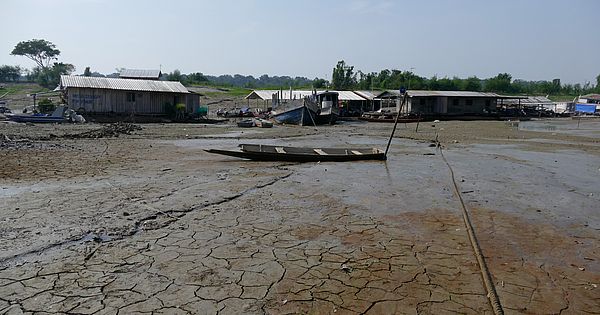 Rio Solimões vira deserto e indígenas adoecem bebendo água contaminada ...